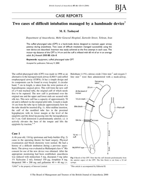 Pdf Complete Recovery Of Consciousness In A Patient With Decorticate
