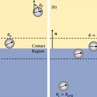 Schematic Showing The Reorientation Of An Active Particle As It Download Scientific Diagram