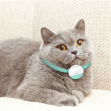 Ev 206m Gps Cat Tracker Small Geofence Collar With Wi Fi And Gps