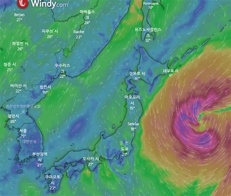태풍 경로 실시간 바람 위성 사진보는 방법 및 사이트 알파 뉴스속보