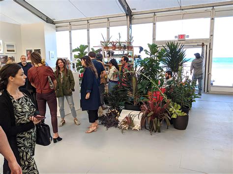 diverse and dynamic increasing multiplicity at untitled miami bmoreart