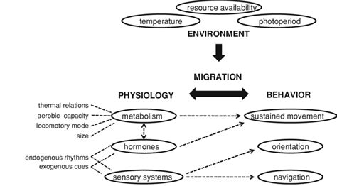 Conceptual Diagram Illustrating The Relationship Between Physiology And