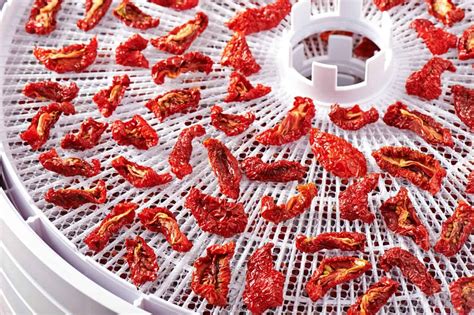 Ideal Temperature To Dehydrate Fruit Complete Guide