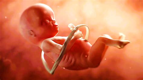 Tratamentul Unei Boli Genetice Rare Inainte De Nastere Asociația De