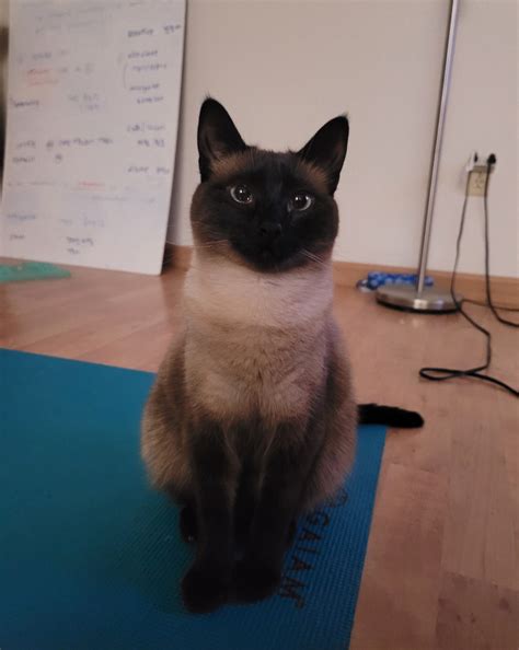 Docker Docker Error Failed To Solve Archivetar Unknown File Mode Rwxr Xr X Load Build