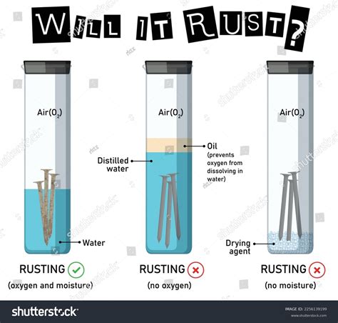 Bbc Gcse Bitesize Metal Ions