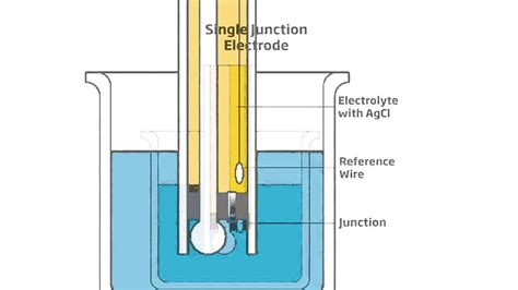 Ph Electrode Junction At Christy Thrower Blog