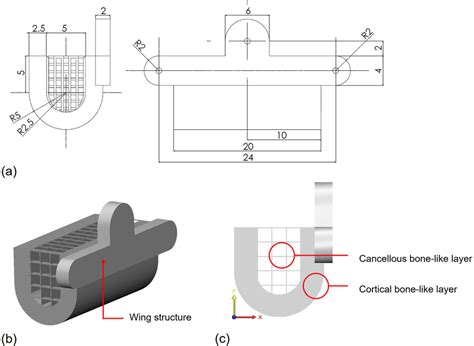 design of 3d printed pcl β tcp scaffolds a dimension b wing