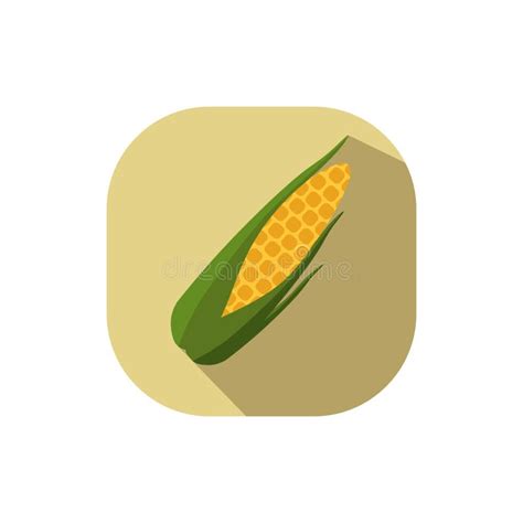Flat Design Corn Stock Illustration Illustration Of Freshness 135588139