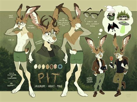 Image Search Raccoon Hybrid Oc Anthro Reference Sheet Deer Fursona