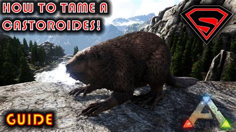 Mastering Beaver Taming In Ark Essential Tips For Handling Castoroides