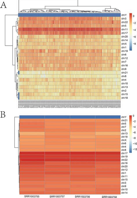 Heatmap Of Snp Enrichment On Human Chromosomes Based On Snp Calling