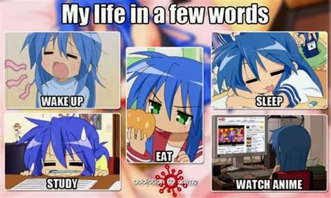 So True Anime Funny Anime Memes Funny Otaku Issues