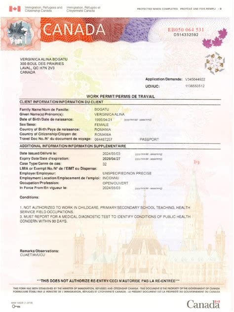 Verginica Alina Pdf