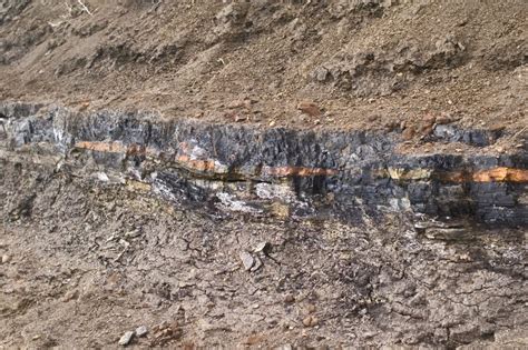 Mathematical Modelling Of Coal Seam Gas Production Mathematical