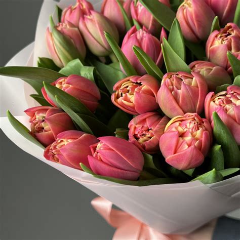 Купить Пионовидные тюльпаны 25 шт в Москве с доставкой