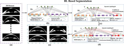 A 3d Dataset Of Icaac B Structure Of Broad Learning C Bls With P
