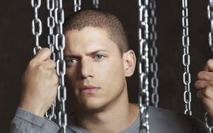 Prison Break Free Hd Wallpapers [100 ]