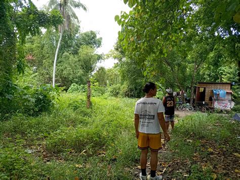 Lot For Sale Barangay Tiltilon Cotcot Liloan Cebu 2343 Sqm Filipino