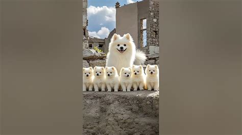 So Cute 🥰💞 Youtube