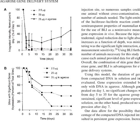 Normalized Gene Expression A Time Course Of Gene Expression With