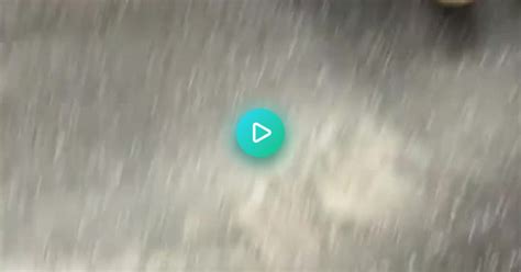 Improve Adapt Overgrow Album On Imgur