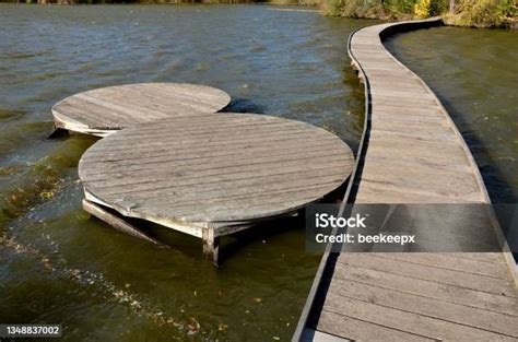 나무 판자로 만든 떠있는 산책로 기둥의 좁은 곡선 길은 호수 물 위 바닥으로 구동된다 난간이 없습니다 개별 원형 보드로 만든 더 많은 디자인 보도 가을 방파제 0명에 대한