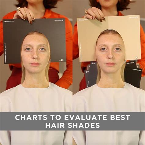 Hairstylist Color Analysis Set Color Analysis Tools Drops De Cor