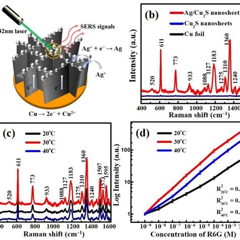 A Illustration Of Sers Sensing Of Ag Cu2s Nanosheets For Detection Of Download Scientific