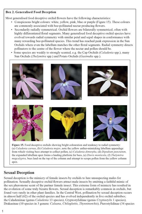 Orchids Of Central Western Nsw Identification Biology Conservation