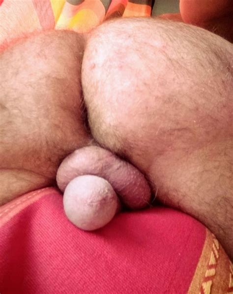 Ma Rondelle Poilue Et Mes Couilles Pic