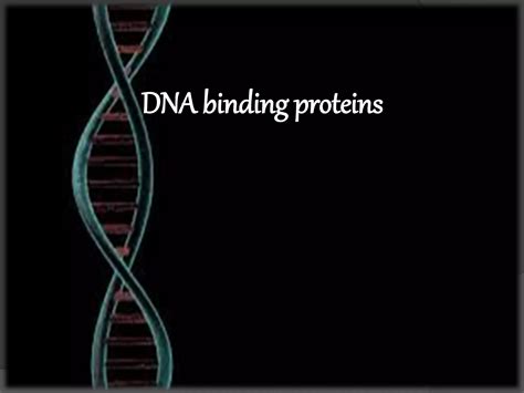 Dna Binding Proteinspptx