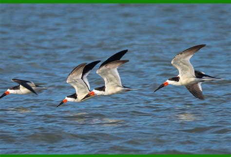 Features And Functions Of POS Systems