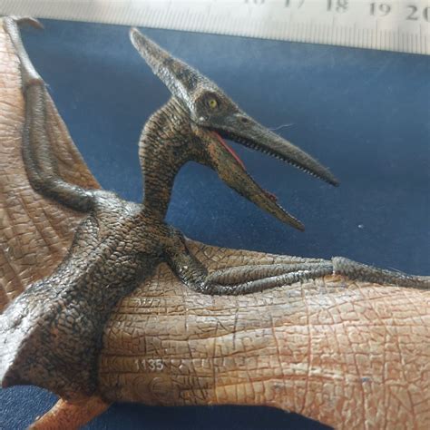 Papo Pteranodon Flying Dinosaur Jurassic Hobbies And Toys Toys And Games