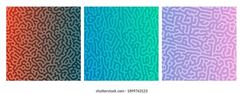 Set Three Colorful Turing Reaction Gradient Stock Vector Royalty Free 1902085174 Shutterstock