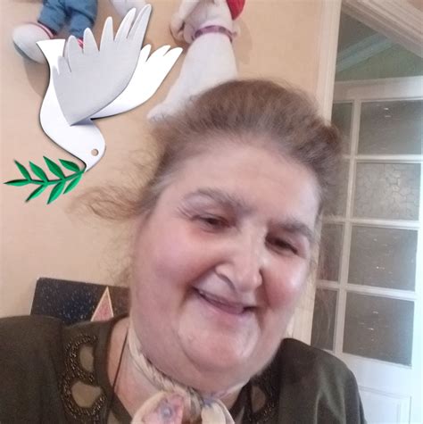 თოლია Tolia 🍩თოლიას ფაფუკი დონატი კარამელის კრემის Facebook