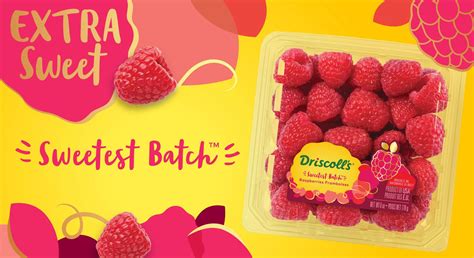 Sweetest Batch™ Raspberries Driscolls