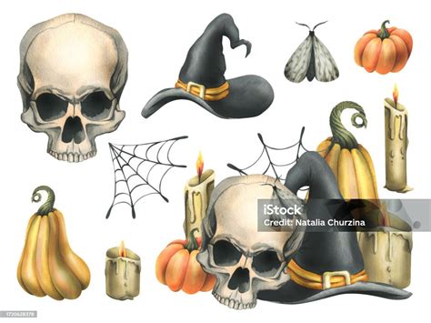 검은 마녀 모자 주황색 호박 거미줄 양초를 가진 인간의 두개골 할로윈을 위한 손으로 그린 수채화 그림 흰색 배경에 격리된 요소 집합 10월에 대한 스톡 벡터 아트 및 기타