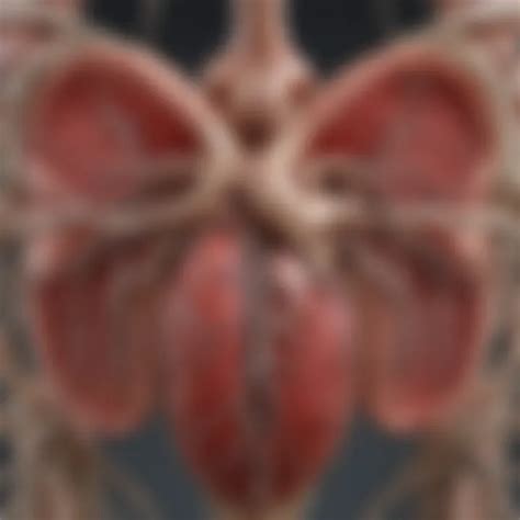 Conduction Abnormalities Of The Heart Explained