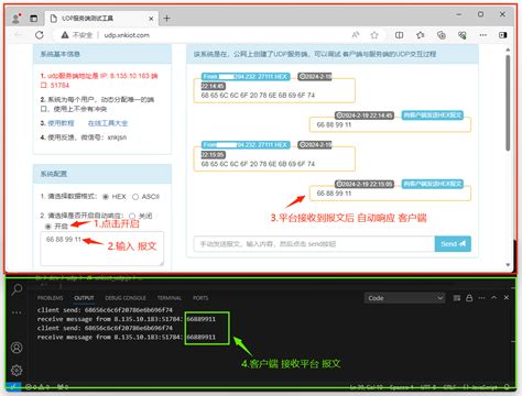 Udp在线测试工具