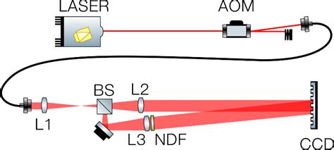 Experimental Setup A 780 Nm External Cavity Diode Laser Is Coupled