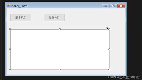 Nancy框架在cs项目中的restapi实践 Csdn博客