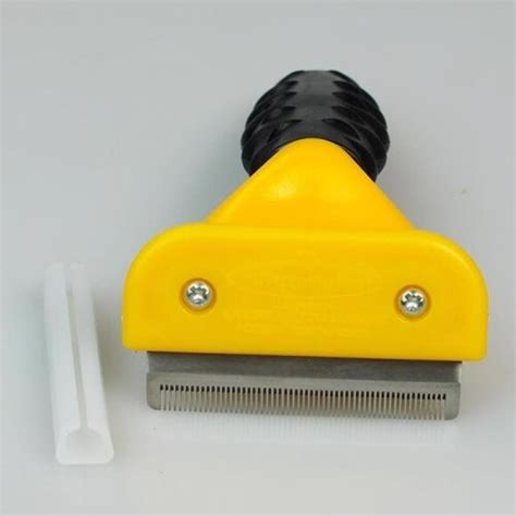 Kedi K Pek T Y Alma Tara