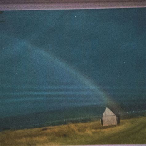 Distorted Forest Milkysad