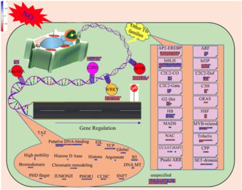 Arabidopsis Research Roundup February Th Weeding The Gems