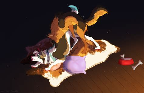 Rule 34 Bite Bitting Border Collie Breath Canid Canine Canis Collar