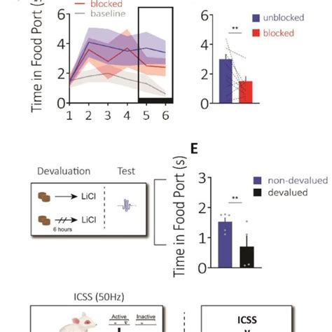 Optogenetic Stimulation Of Vta Dopamine Neurons At 20hz And 50hz Download Scientific Diagram