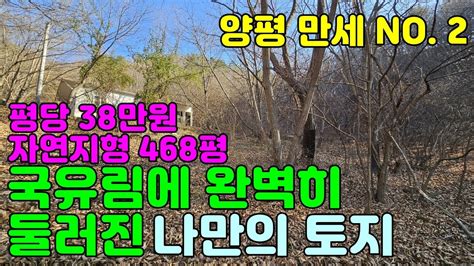만세tv양평부동산 118 712병풍 국유림 속 나홀로 입지의 급급매 토지 양평 만세부동산tv 031 771 7312 031 771