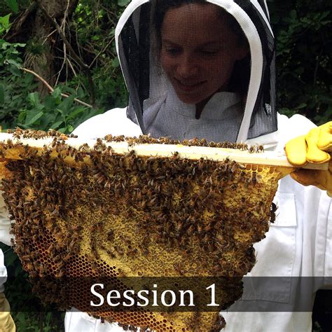 Beekeeping Classes Backyardhive