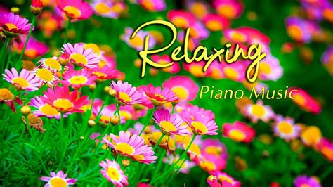 마음이 차분해지는 힐링음악 하루15분 만병을 치료 해주는 힐링 명상 기치료 음악 및 영상 아침명상음악 아침음악 치유음악 명상음악 Youtube Music